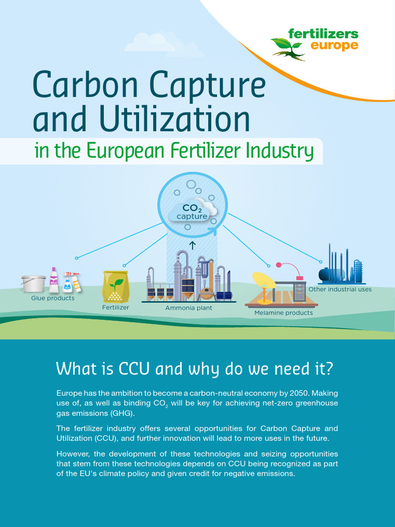 Carbon Capture Def Version 1 | PDF | Fertilizer | Carbon Dioxide