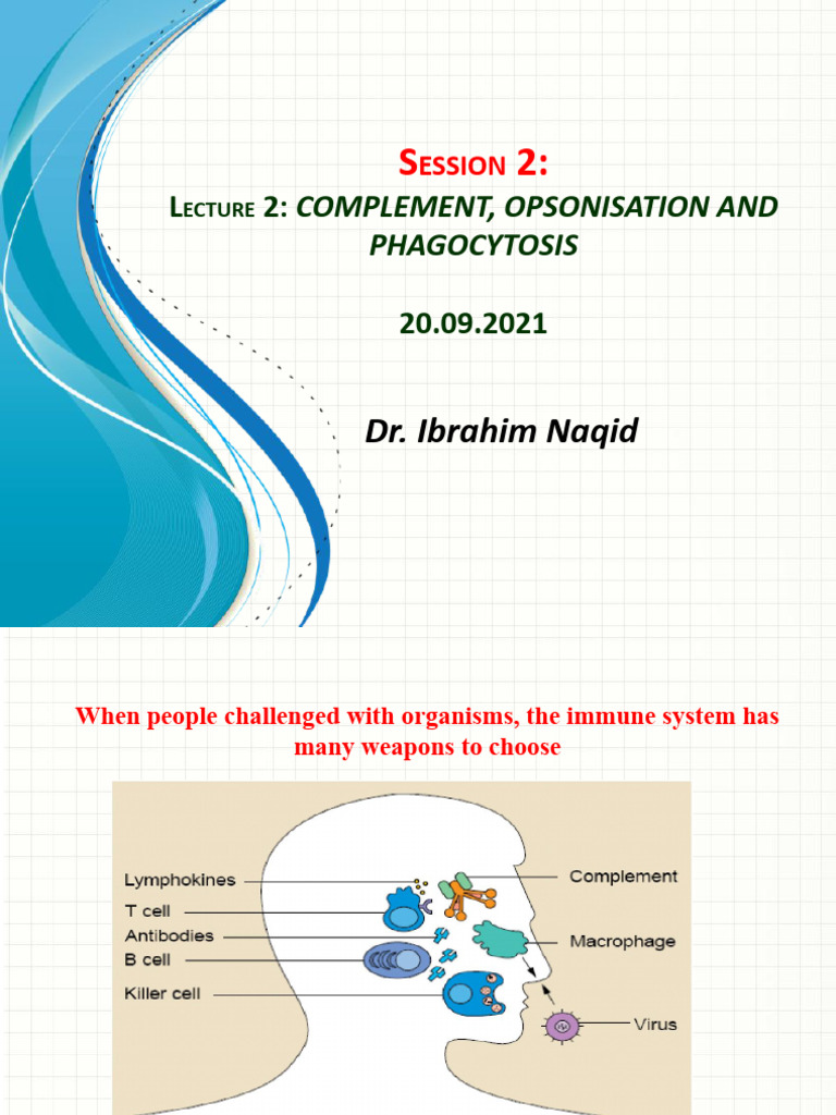 S2-L2 Complement Opsonisation And Phagocytosis | PDF | Complement ...