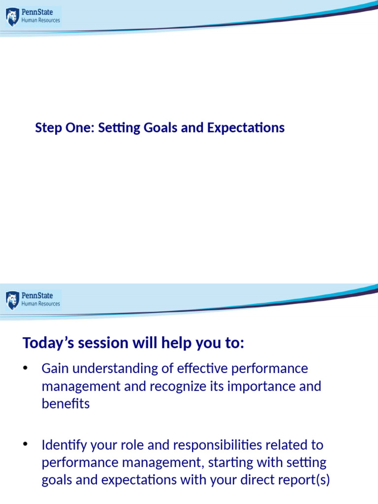 Effective Performance Management Goals | PDF | Goal | Goal Setting