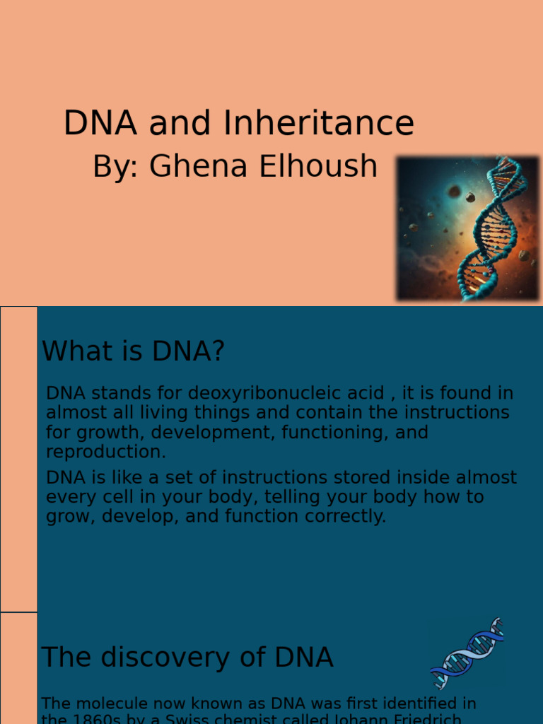 Dna Project | PDF