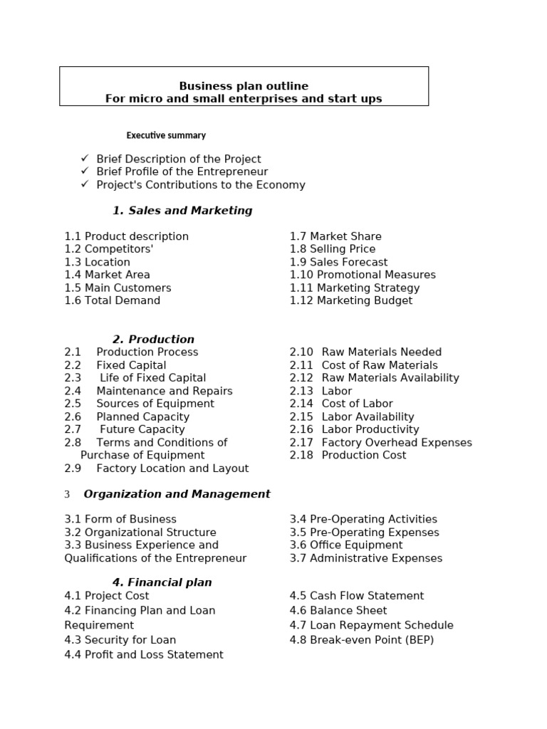 Business Plan Outline for Startups | PDF