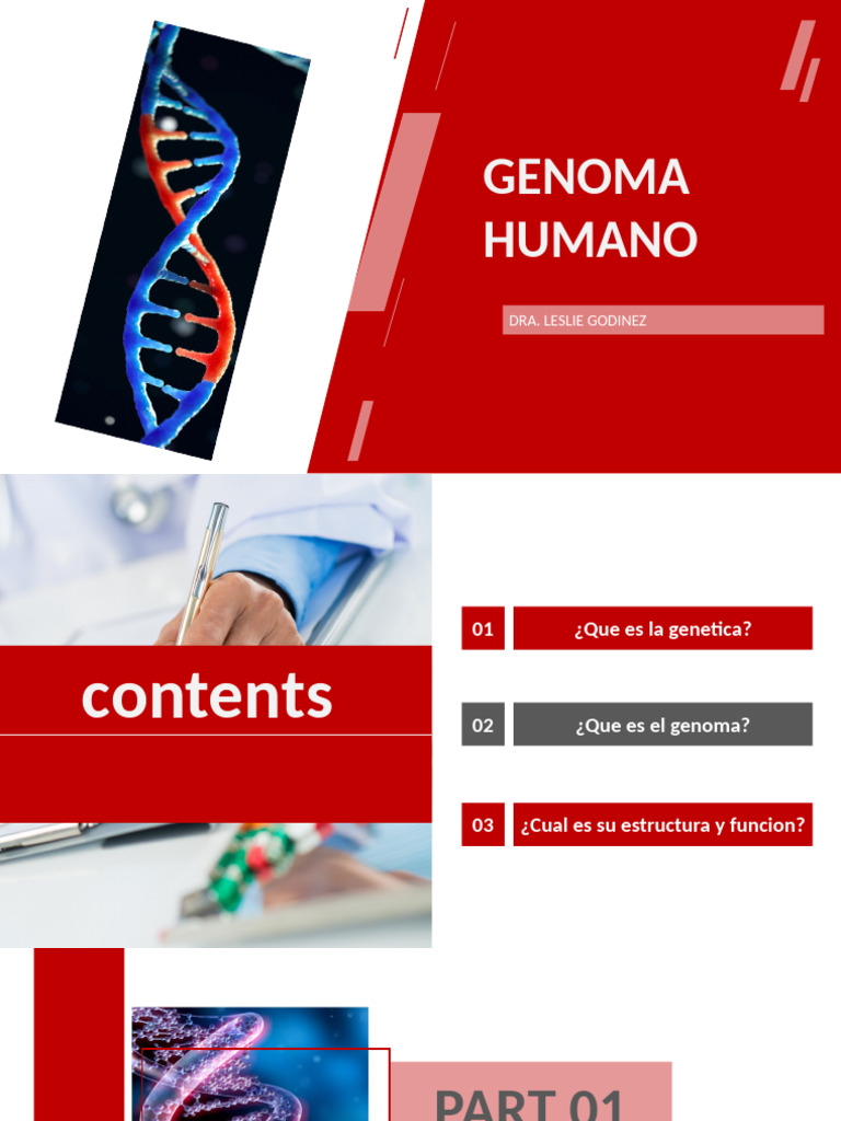 GENOMA | PDF | Adn | Genética