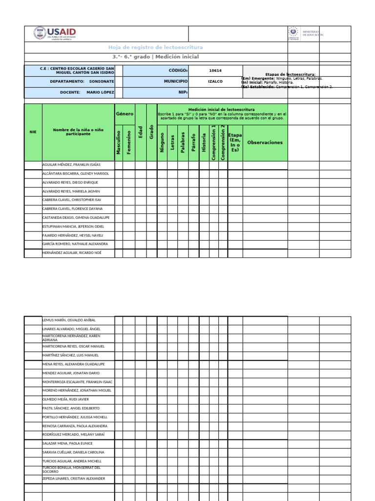 Registro de Lectoescritura Inicial 3°-6° | PDF