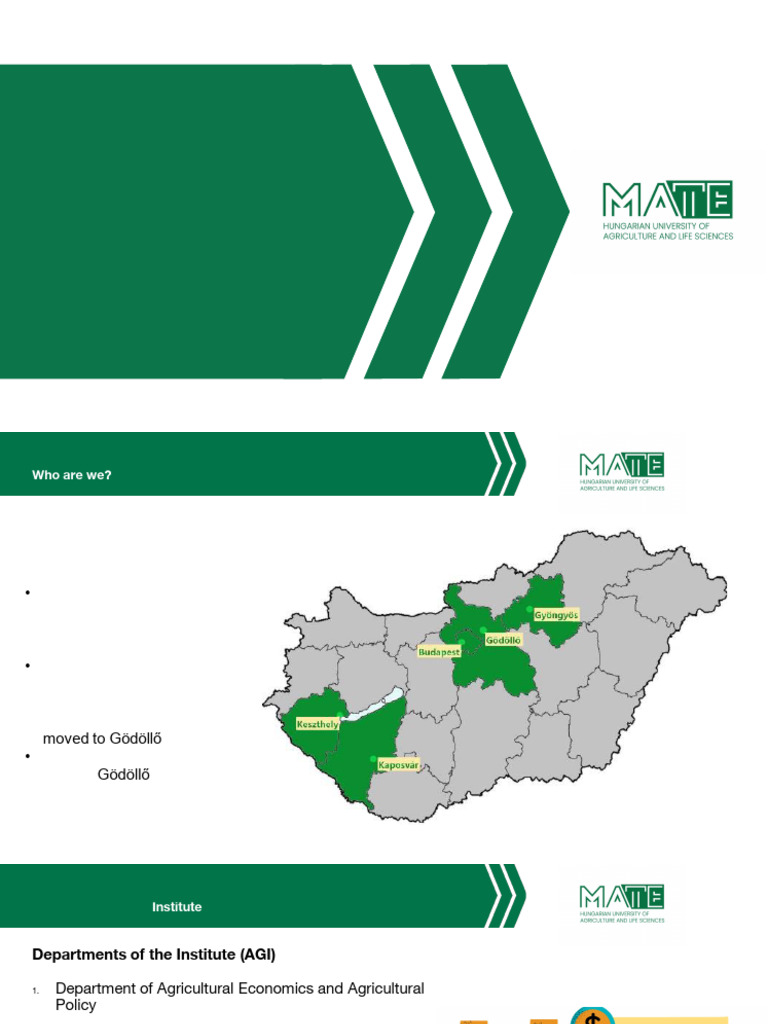 Agi Intern Final 2023-2-1 | PDF | Academic Degree | Economics