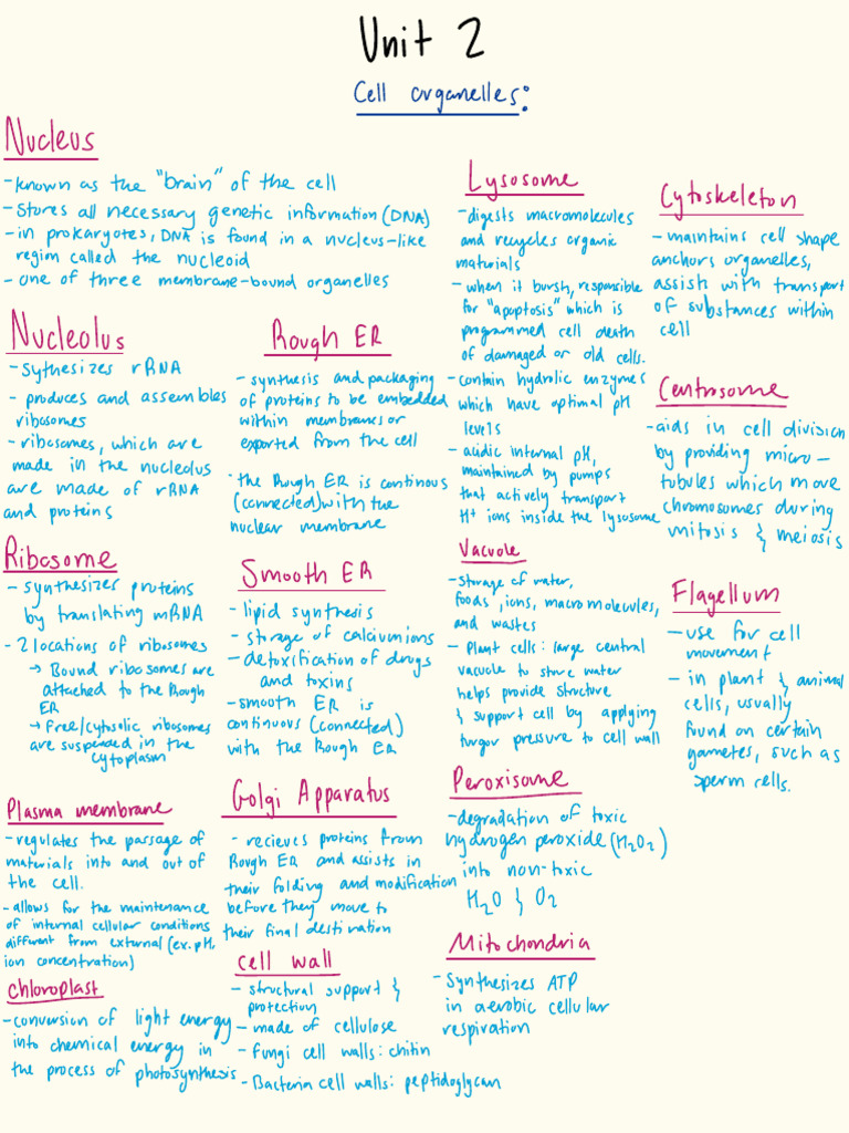 Unit 2 Review Guide | PDF