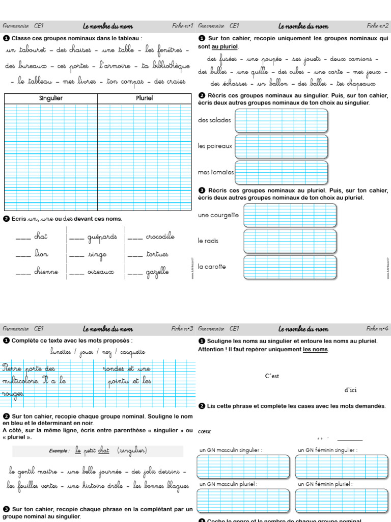 Grammaire CE1 : Noms au Singulier et Pluriel | PDF | Nombre grammatical ...