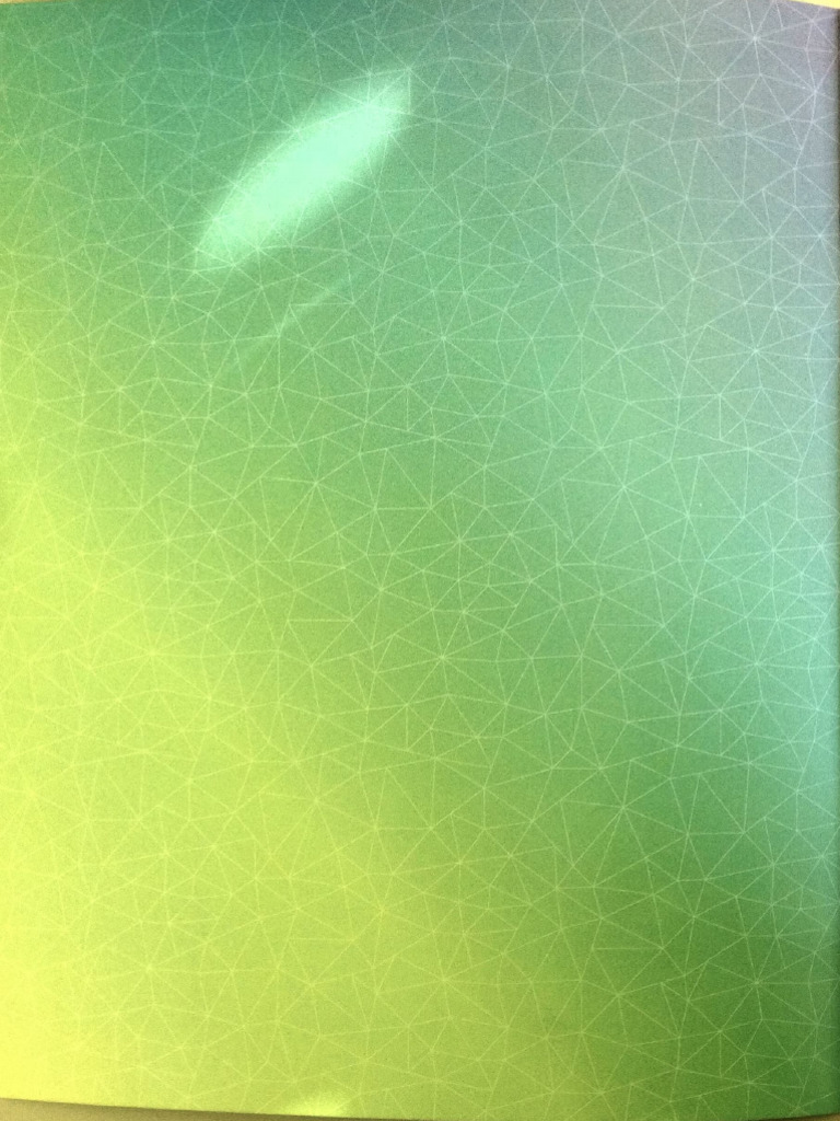 Activity Book NS 3°EP (U4-5) | PDF | Flowers | Plants