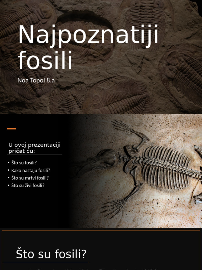 Najpoznatiji Fosili - Noa Topol 8A | PDF