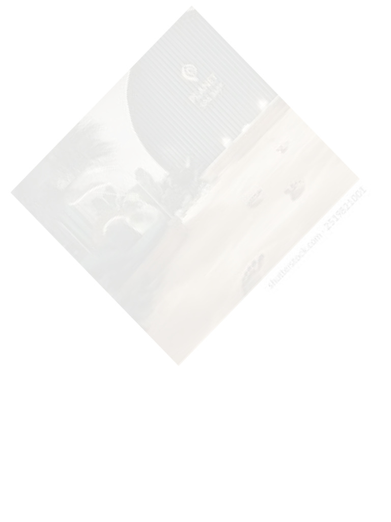 Spa Bill Detailed 1 Lucknow | PDF