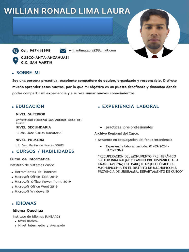 CV de Willian Ronald Lima Laura | PDF
