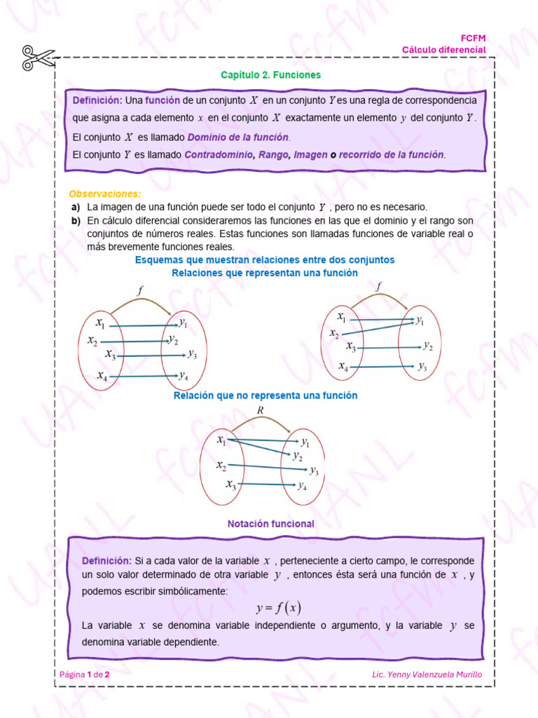 Cap 2 Definición Parte 1 | PDF | Función (Matemáticas) | Variable (Matemáticas)