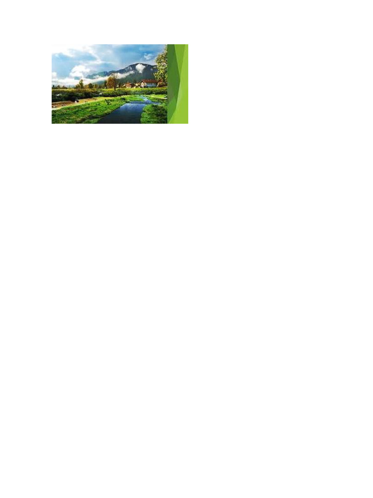 Ola | PDF