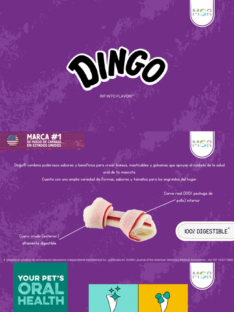 DINGO CATALOGO | PDF | Perros de compañía | Perros de caza