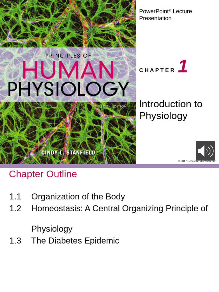_ch_01_lecture_body organization | PDF | Human Body | Homeostasis