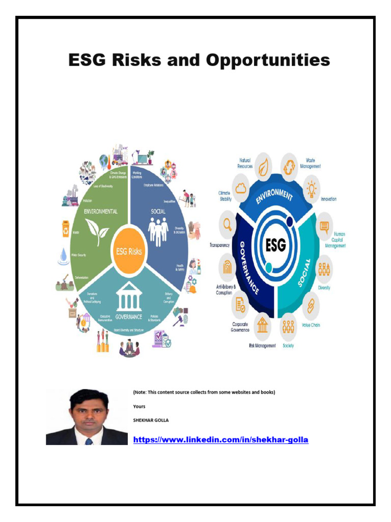 ESG Risks and Opportunities | PDF | Sustainability | Governance