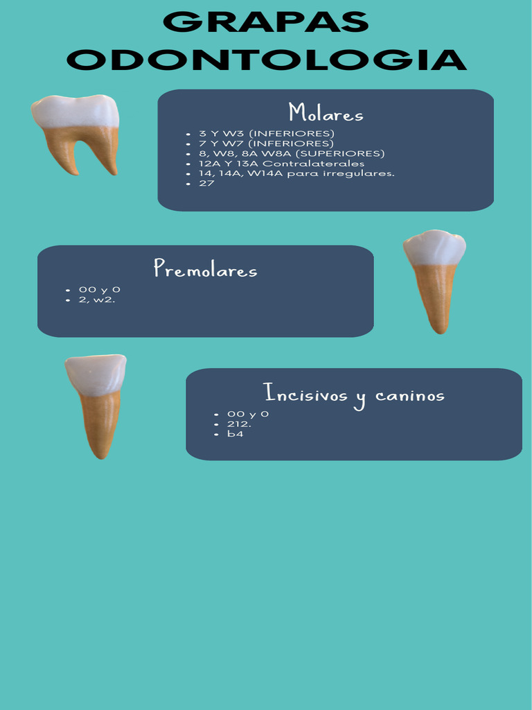 Grapas Molares Inferiores: Tipos y Usos | PDF