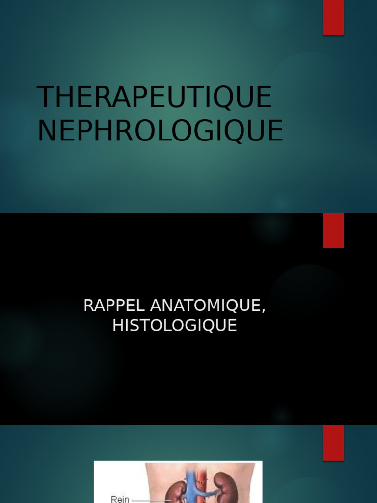 THERAPEUTIQUE NEPHRO 1 | PDF | Hypertension artérielle | Insuffisance rénale chronique