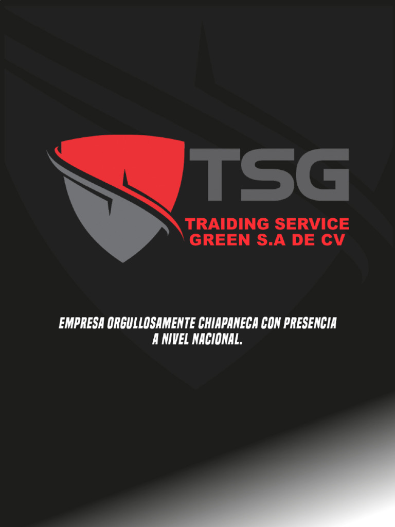 CV TSG 2024 | PDF