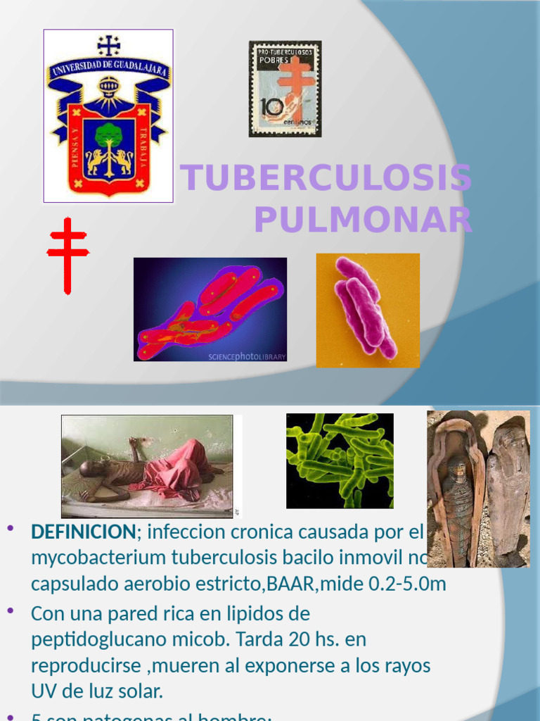Tuberculosis Pulmonar: Definición y Epidemiología | PDF | Tuberculosis ...