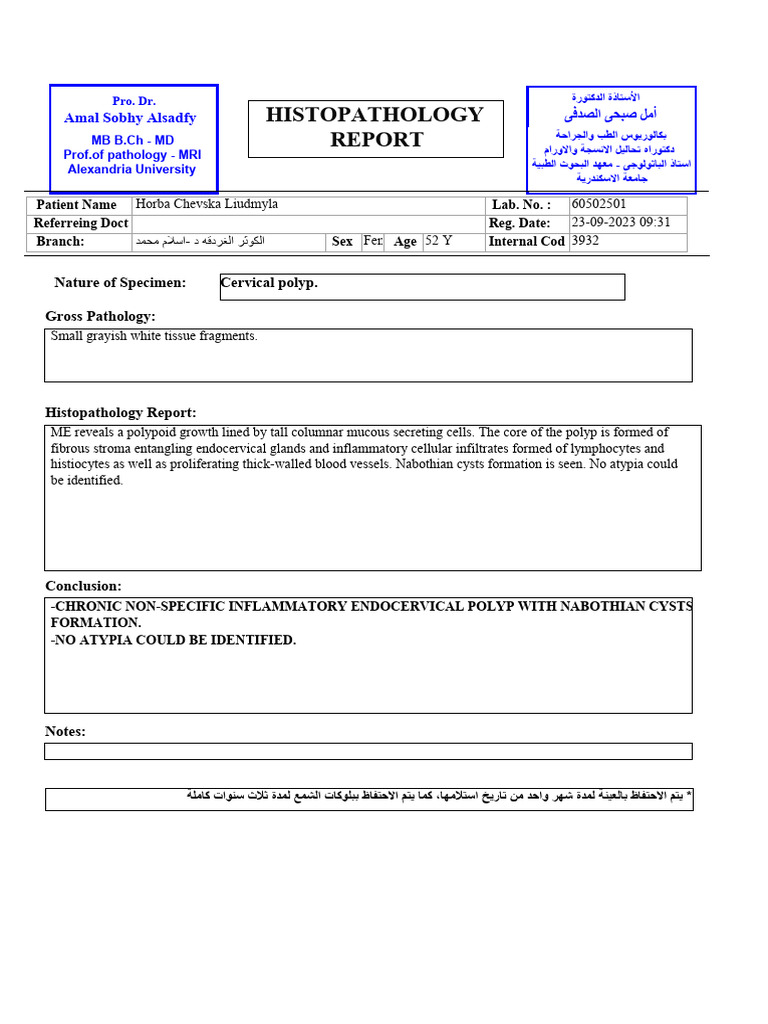 Cervical Polyp Histopathology Report | PDF