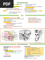 Cancer du Cavum : Diagnostic et Traitement | PDF | Cancer | Métastase