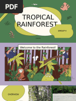 Four Layers of Tropical Rainforest | PDF | Rainforest | Botany