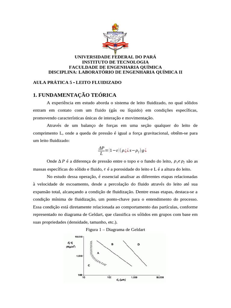 EXPERIMENTO 5 - Leito Fluidizado | PDF | Pressão | Gases