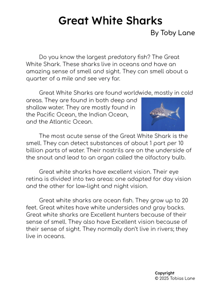Great White Sharks: Ocean Predators | PDF