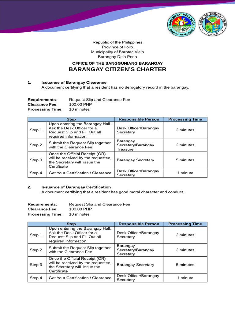 Barangay Citizen's Charter Guide | PDF
