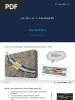 Petrosleeve Presentation | PDF | Pipe (Fluid Conveyance) | Construction