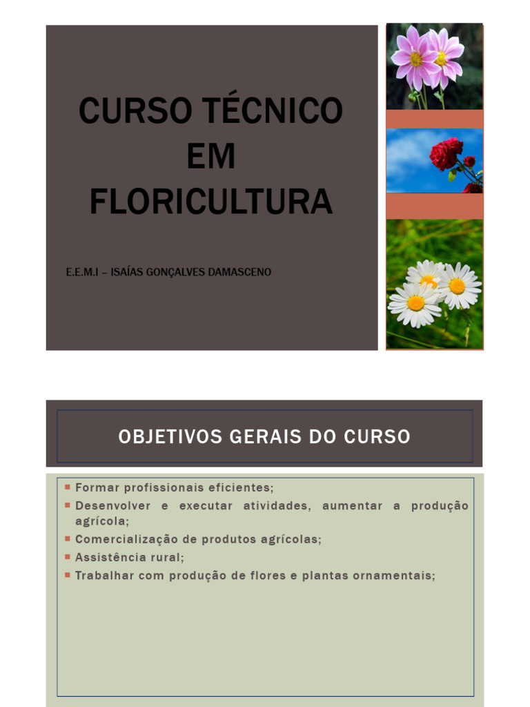 AULA 04 - INT. FLORI (FISIOLOGIA VEGETAL PT. 2) | PDF