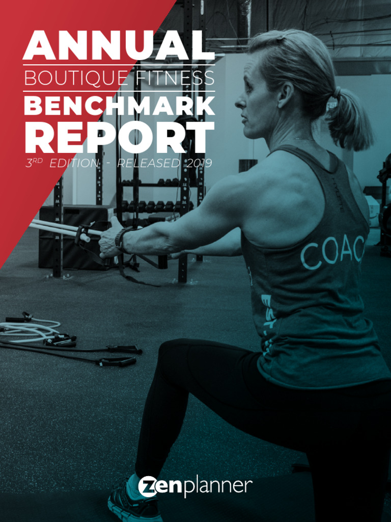 Boutique Fitness Business Insights | PDF | Discounting | Percentage