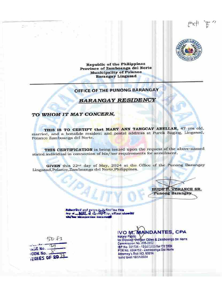 Exhibit E-Petition For Declaration of Nullity of Marriage:Void of Marriage - Civil Case No.7963 ...