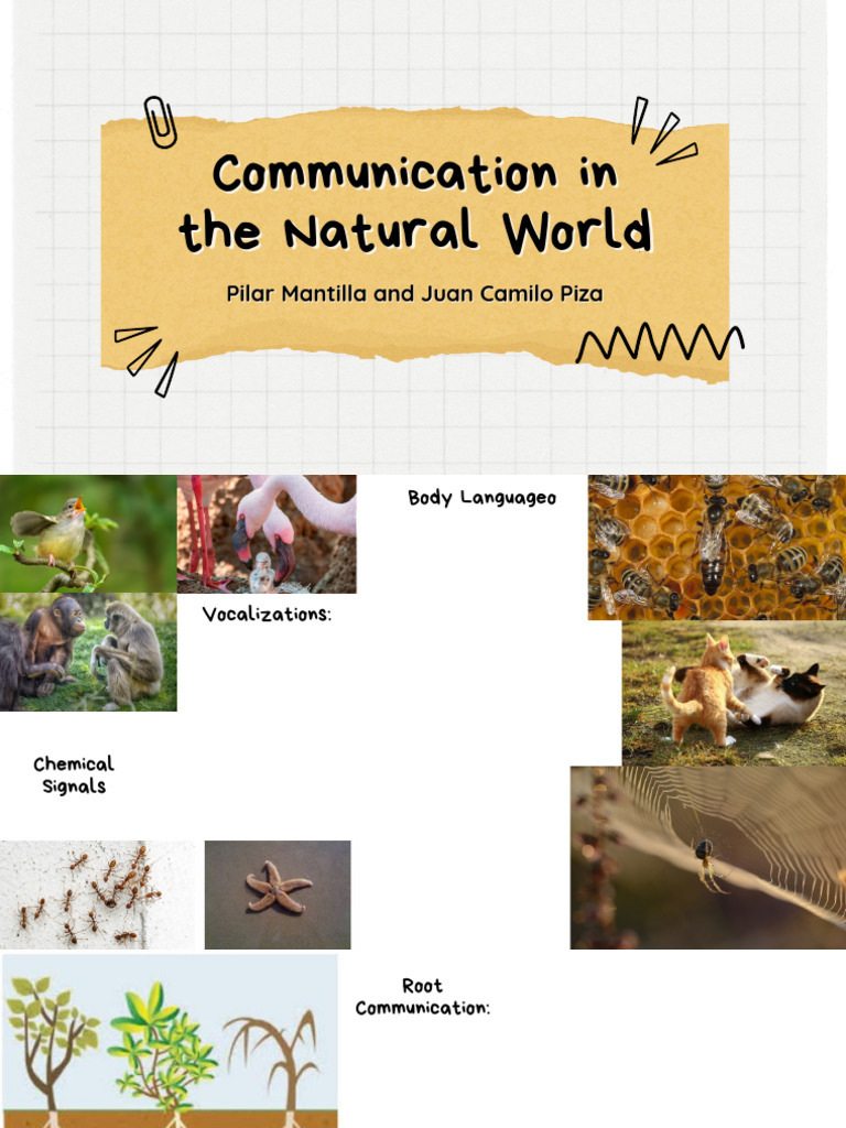 Communication Methods in Nature | PDF