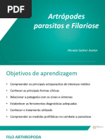 Sintomas da Tungíase e Cuidados | PDF | Doenças e distúrbios | Remédio