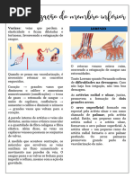 11 - Região Poplítea | PDF | Joelho | Anatomia humana