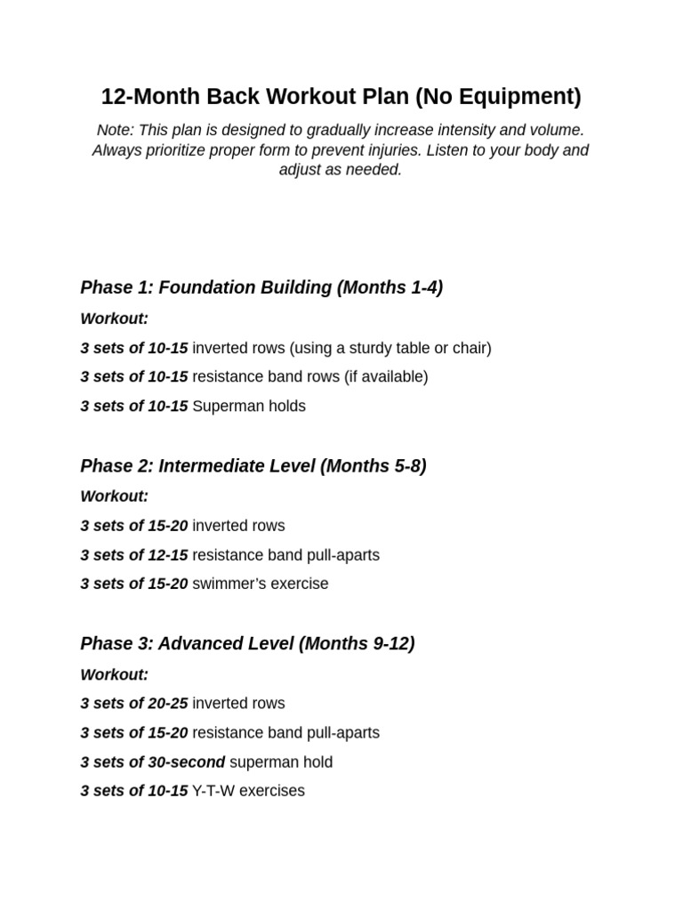No-Equipment Back Workout Plan | PDF