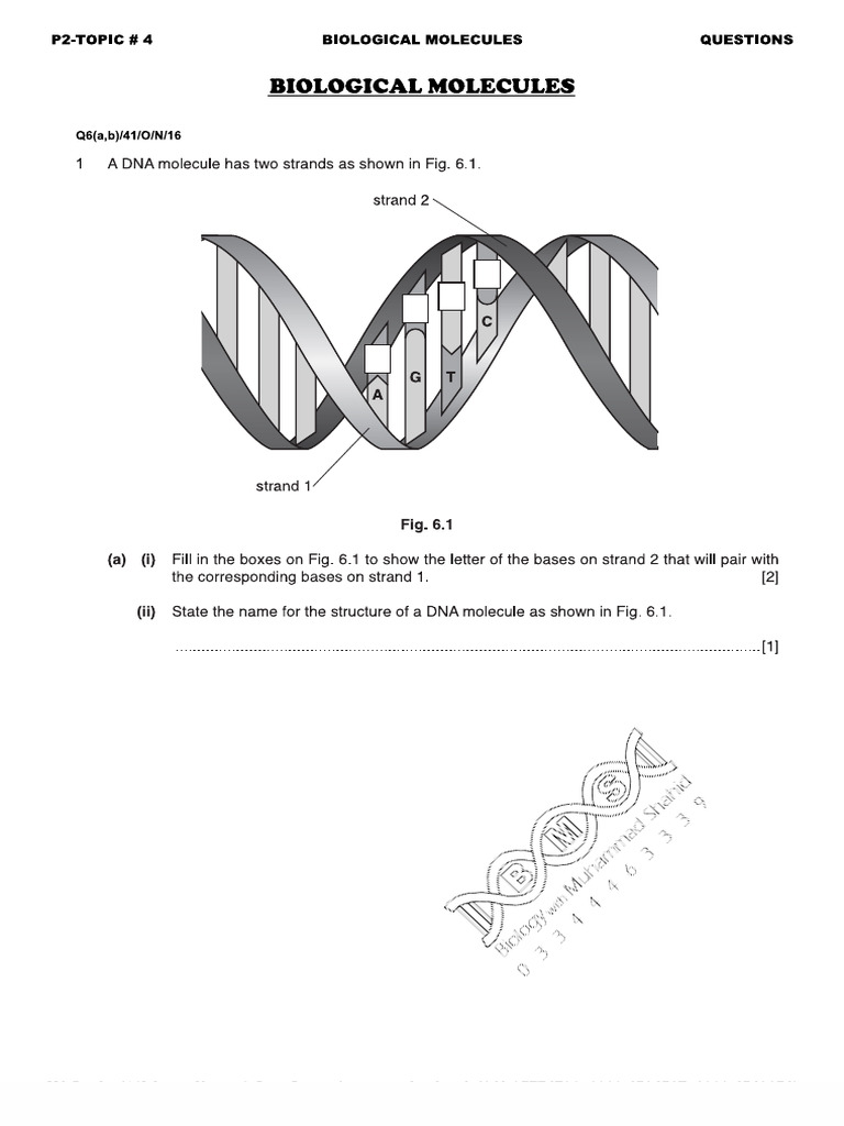 Biological Molecules Theory Questions | PDF
