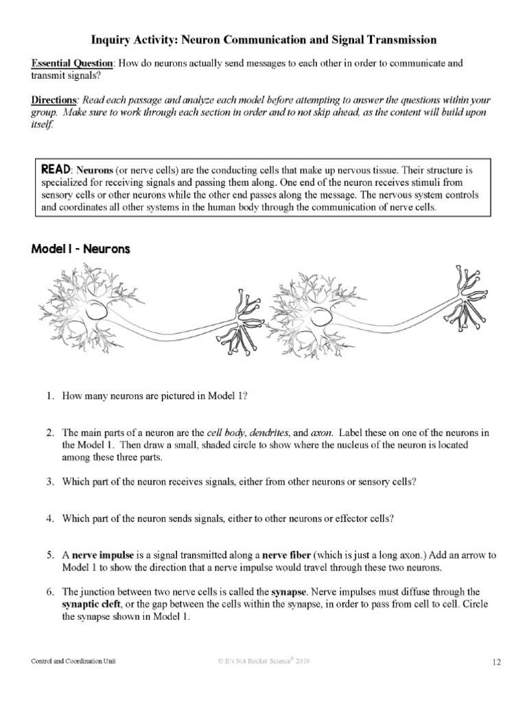 Annotated-Inquiry Activity - Neuron Communication & Signal Transmission ...