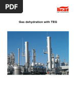 Teg Contactor | PDF | Natural Gas | Transparent Materials