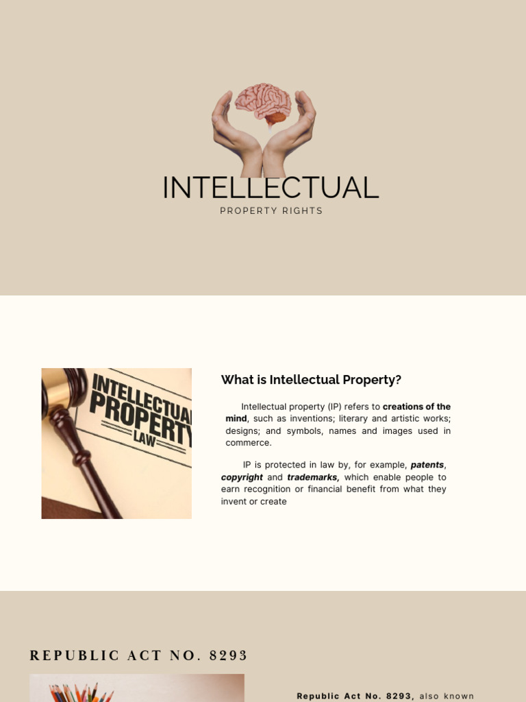 Intellectual Property Rights | PDF | Intellectual Property | Fair Use