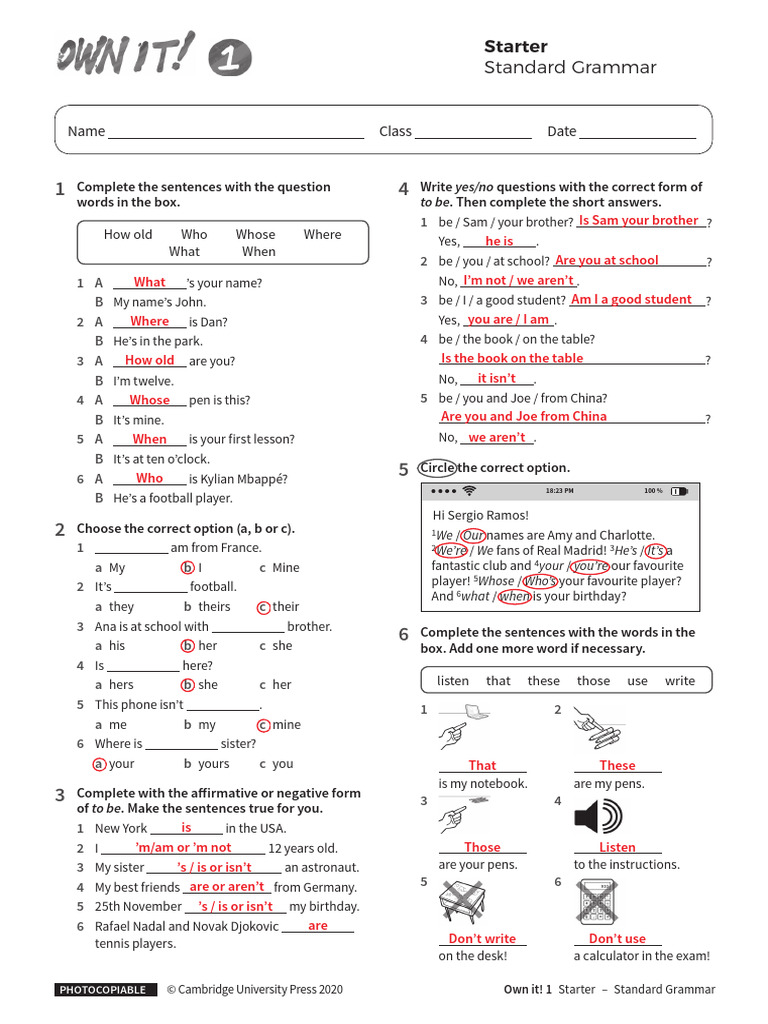 Grammar Skills Test: Starter Questions | PDF | Tennis Players