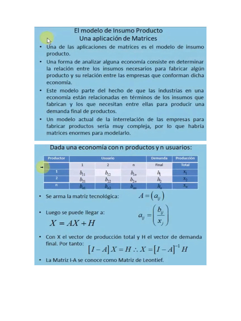 Modelo INSUMO PRODUCTO | PDF