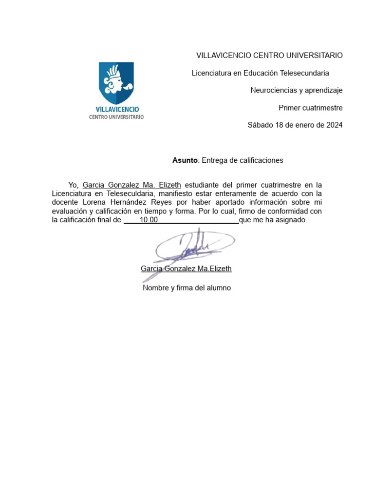 Firma de Conformidad de La Entrega de Calificaciones. MFGH. | PDF