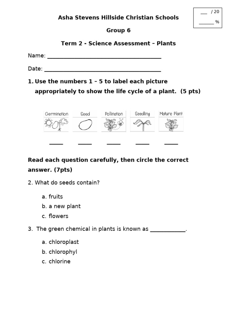Group 6 Plants Test | PDF