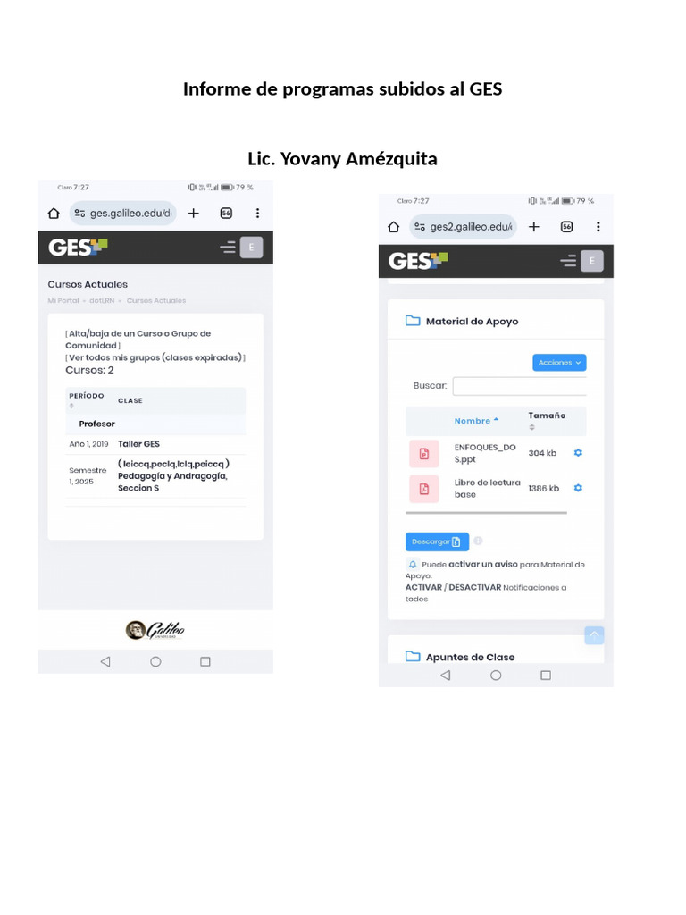Informe de programas en GES | PDF