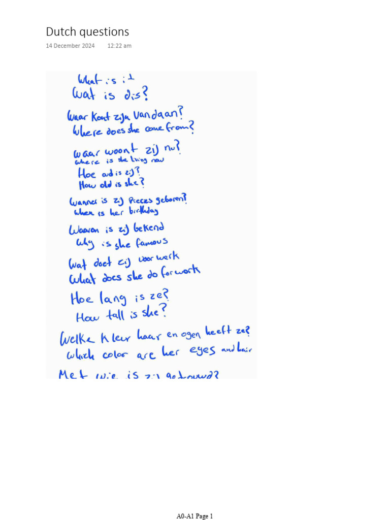 Dutch Questions | PDF