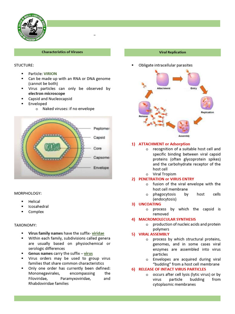 SF1-VIROLOGY | PDF | Virus | Virology