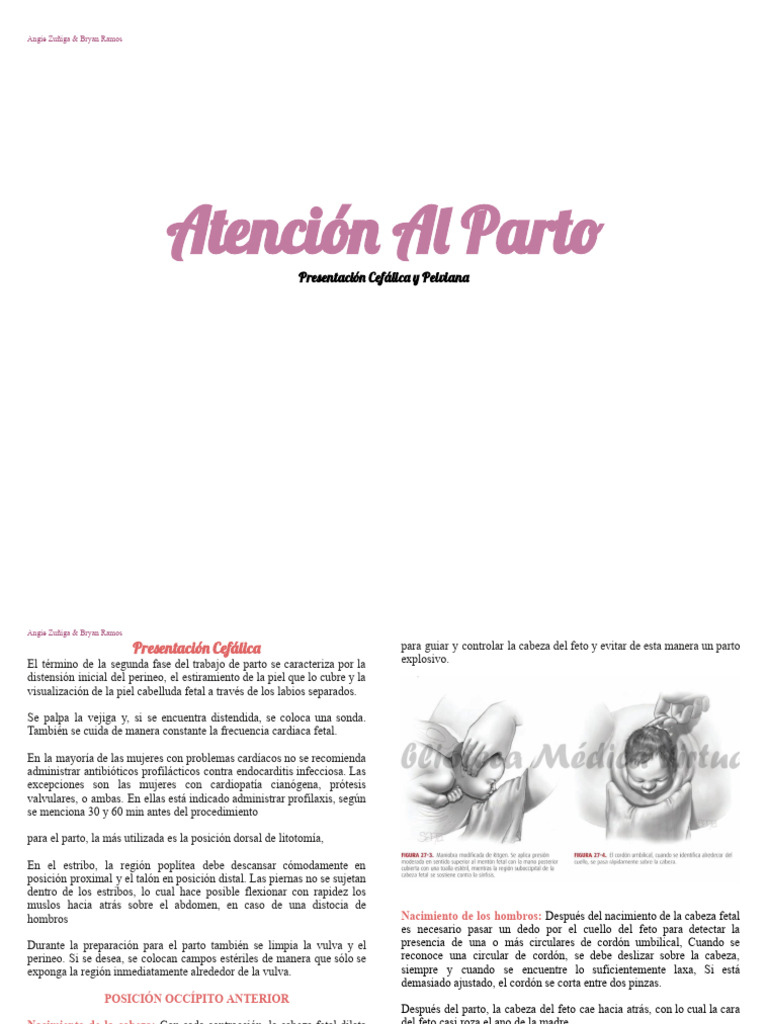 Atención al Parto: Posiciones y Complicaciones | PDF | Parto | Pelvis