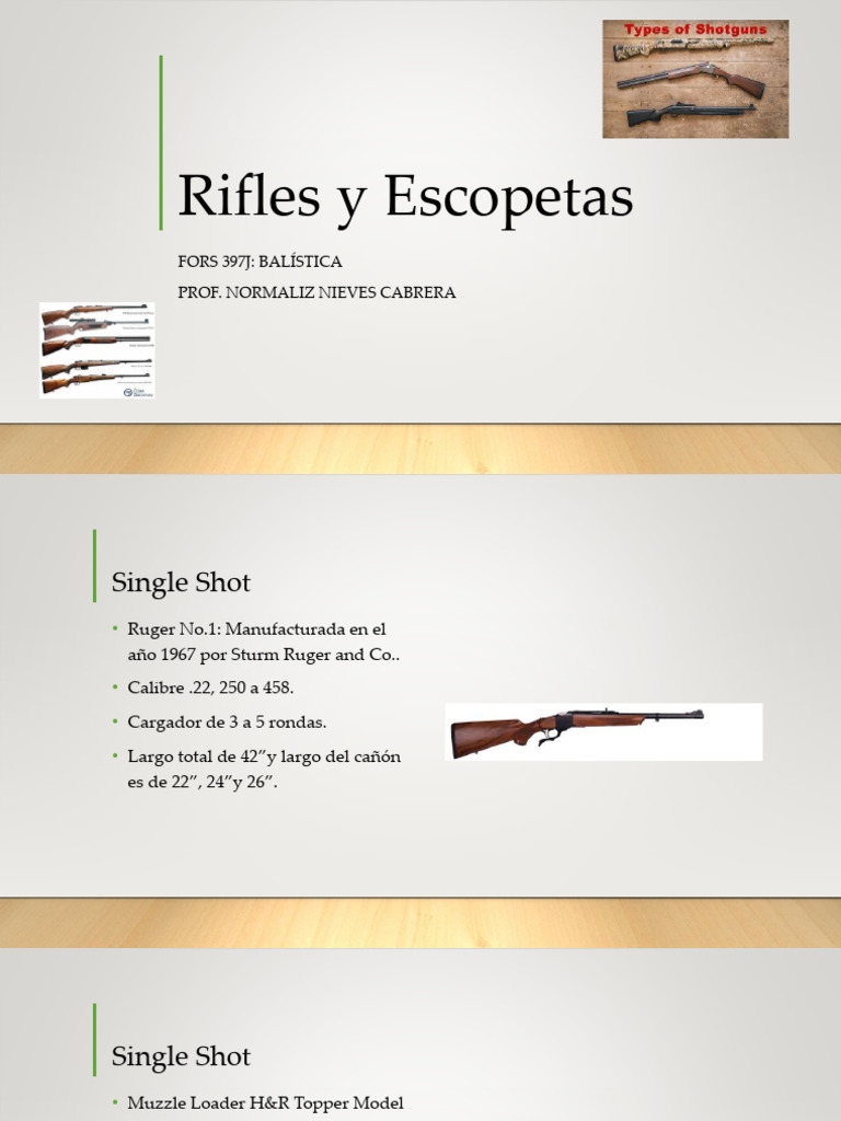 Rifles y Escopetas | PDF | Rifle | Armas de proyectiles